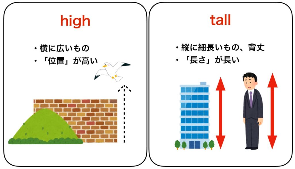 highとtallの違いは？イメージで簡単に使い分け！ | 【Aitem】池袋校とオンラインの英会話スクール