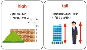 highとtallの違いは？イメージで簡単に使い分け！ | 【Aitem】池袋校とオンラインの英会話スクール